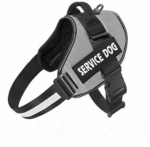 Шлейка SERVICE DOG для собак (55-72см)