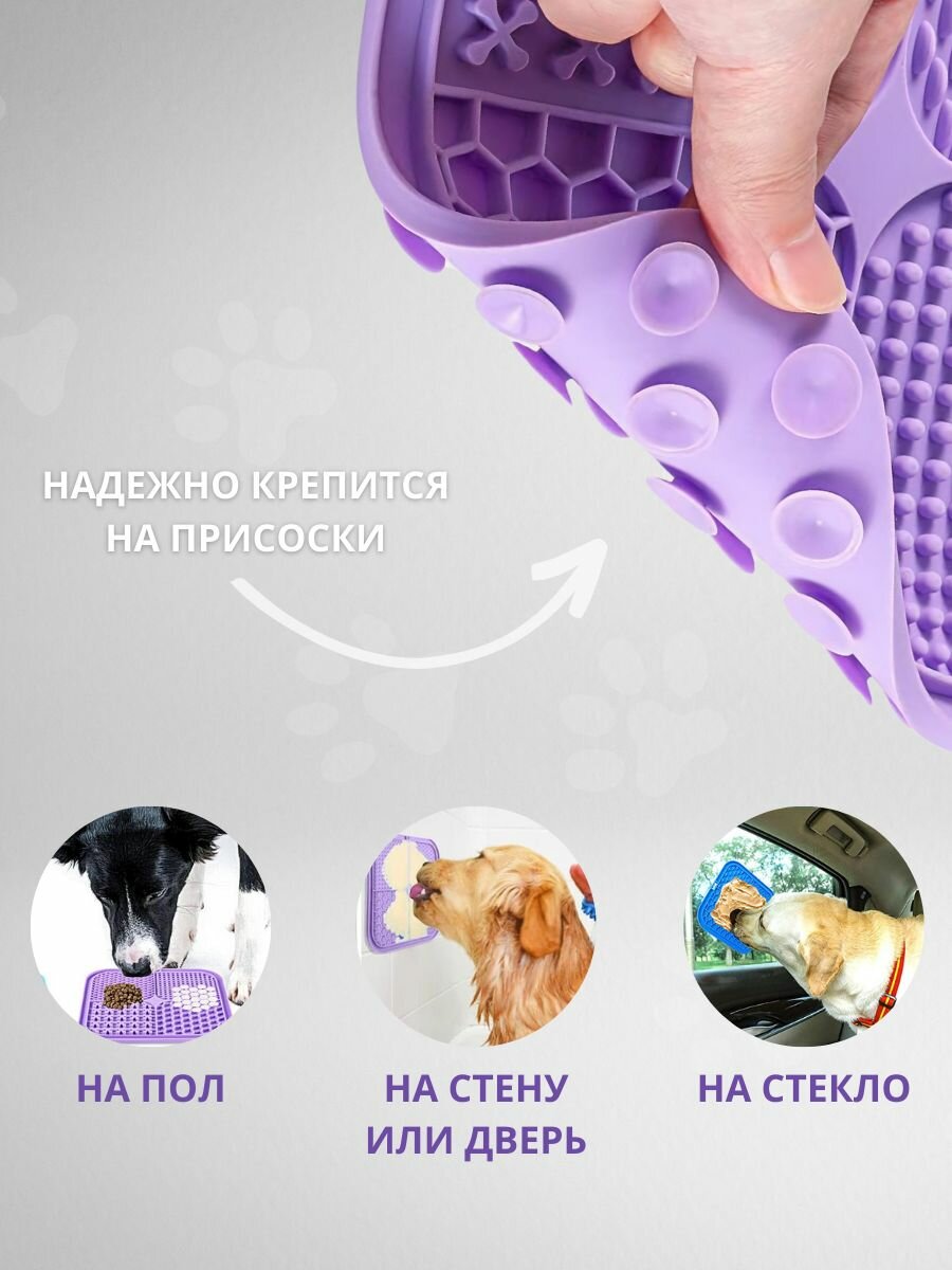 Миска для животных — фото 1