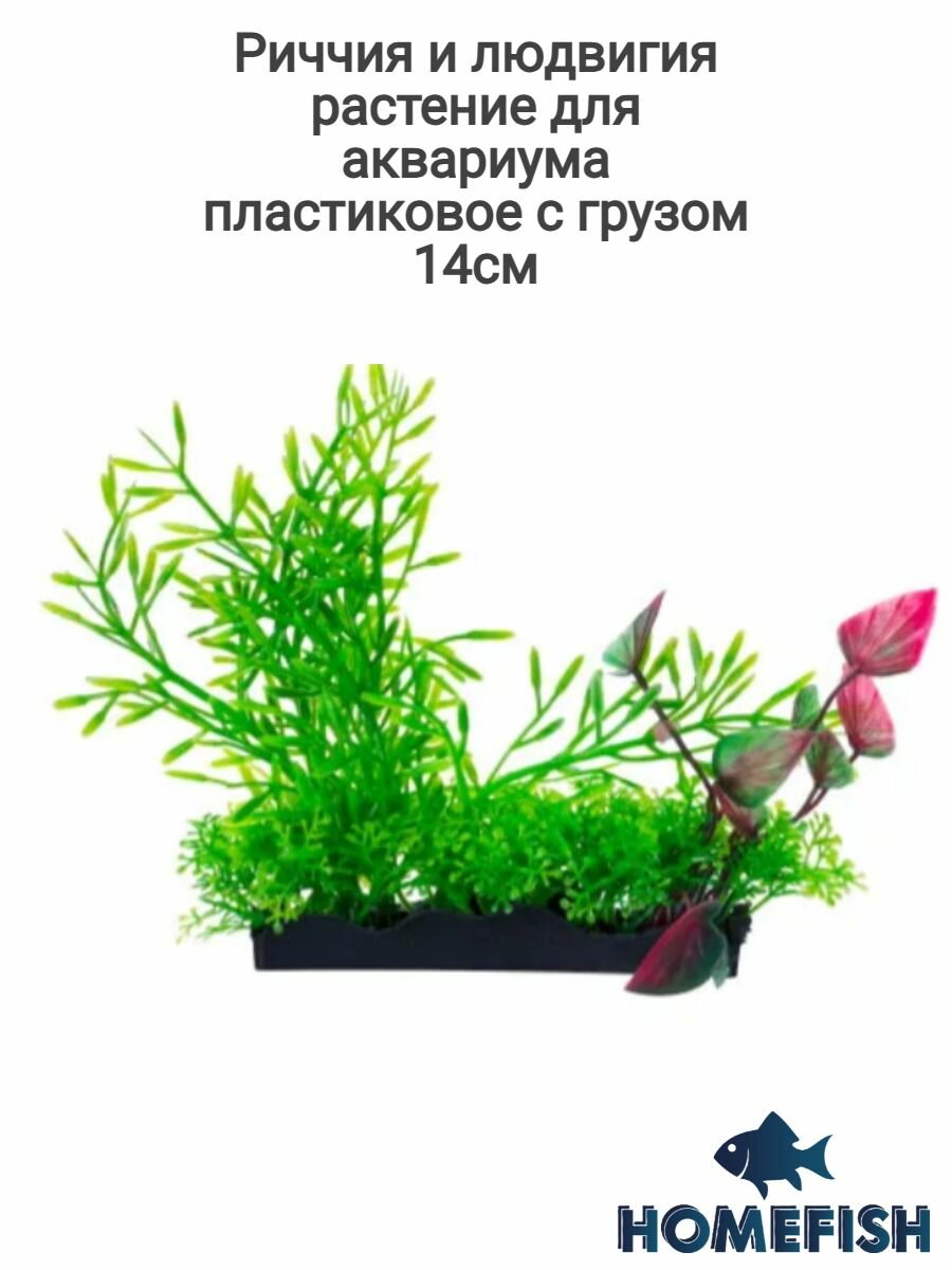 HOMEFISH 14 см Риччия и людвигия растение для аквариума пластиковое с грузом