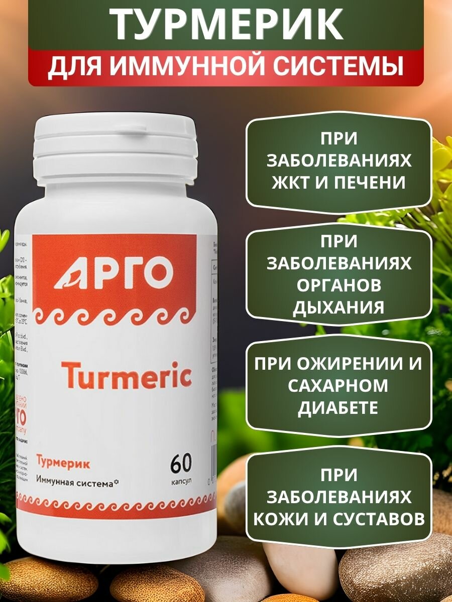 Турмерик, 60 капсул от NutriCare, Арго. Для пищеварения и микрофлоры кишечника, снижает холестерин, при диабете и ожирении