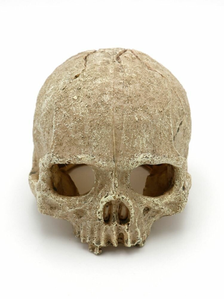 Декорация для аквариума/террариума