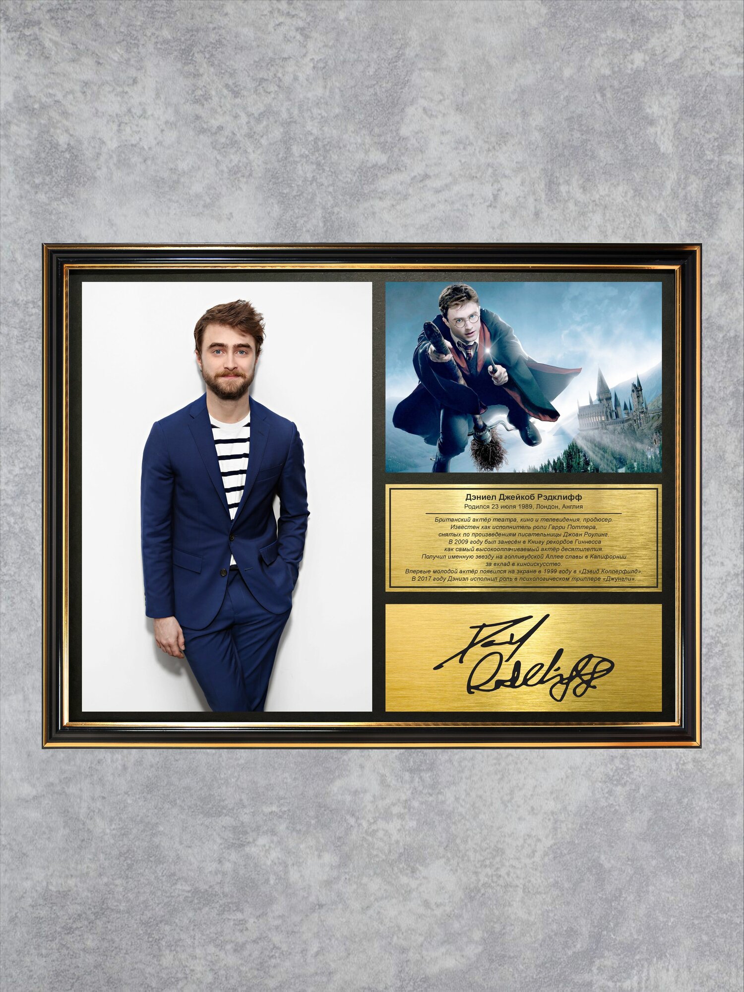 Дэниел Рэдклифф интерьерная картина