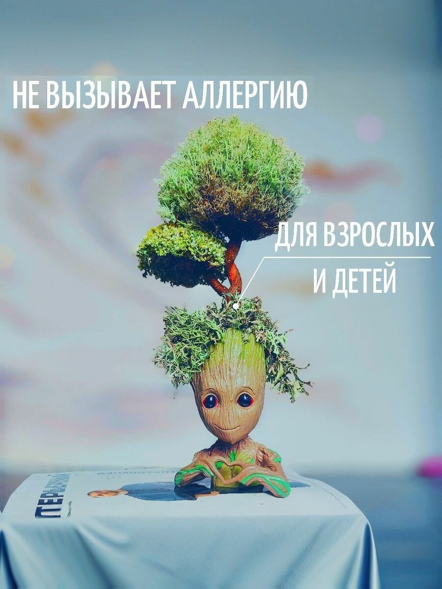 Статуэтка Грут марвел с живой прической из дерева цетрария