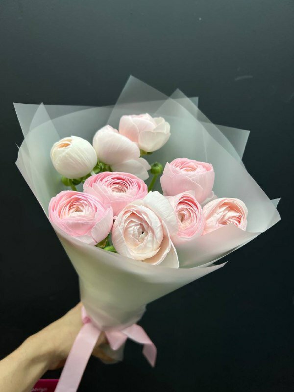 Нежные Ранункулюсы в количестве 9 штук в красивой упаковке с доставкой WOW Flowers свежие