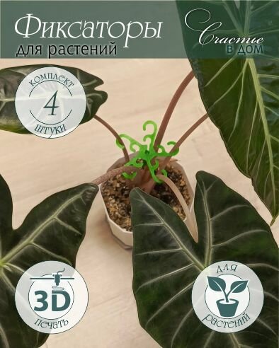 Фиксатор для растений 4 штуки от "Счастье в дом"