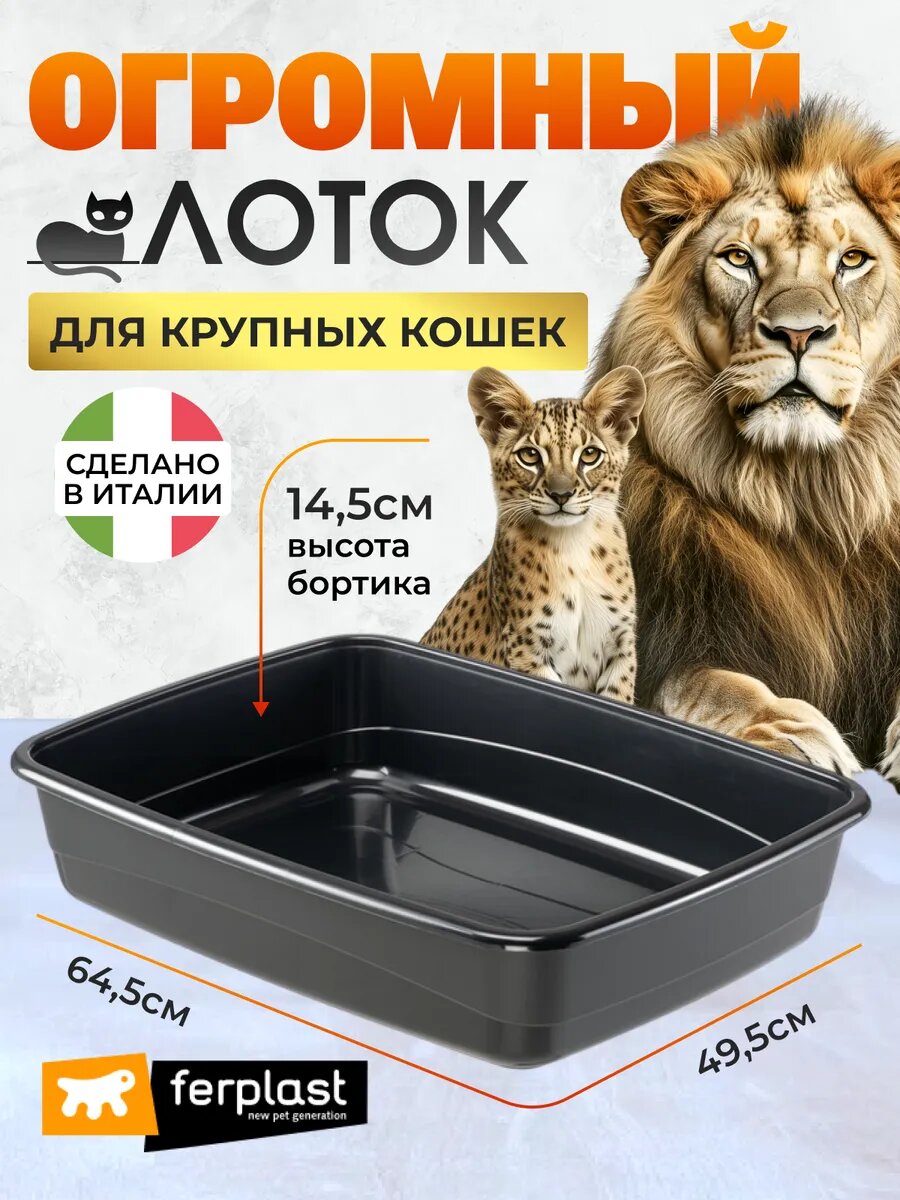 Лоток для мейн куна большой XXL, огромный туалет для кошек
