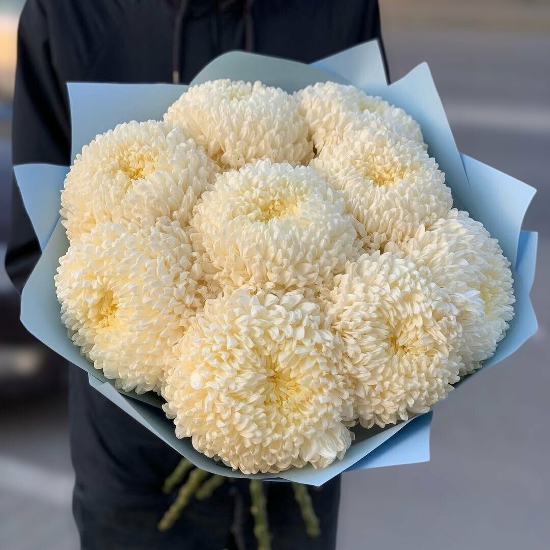 Букет из белых хризантем 9 шт, красивый букет цветов, шикарный, премиум цветы, премиум букет