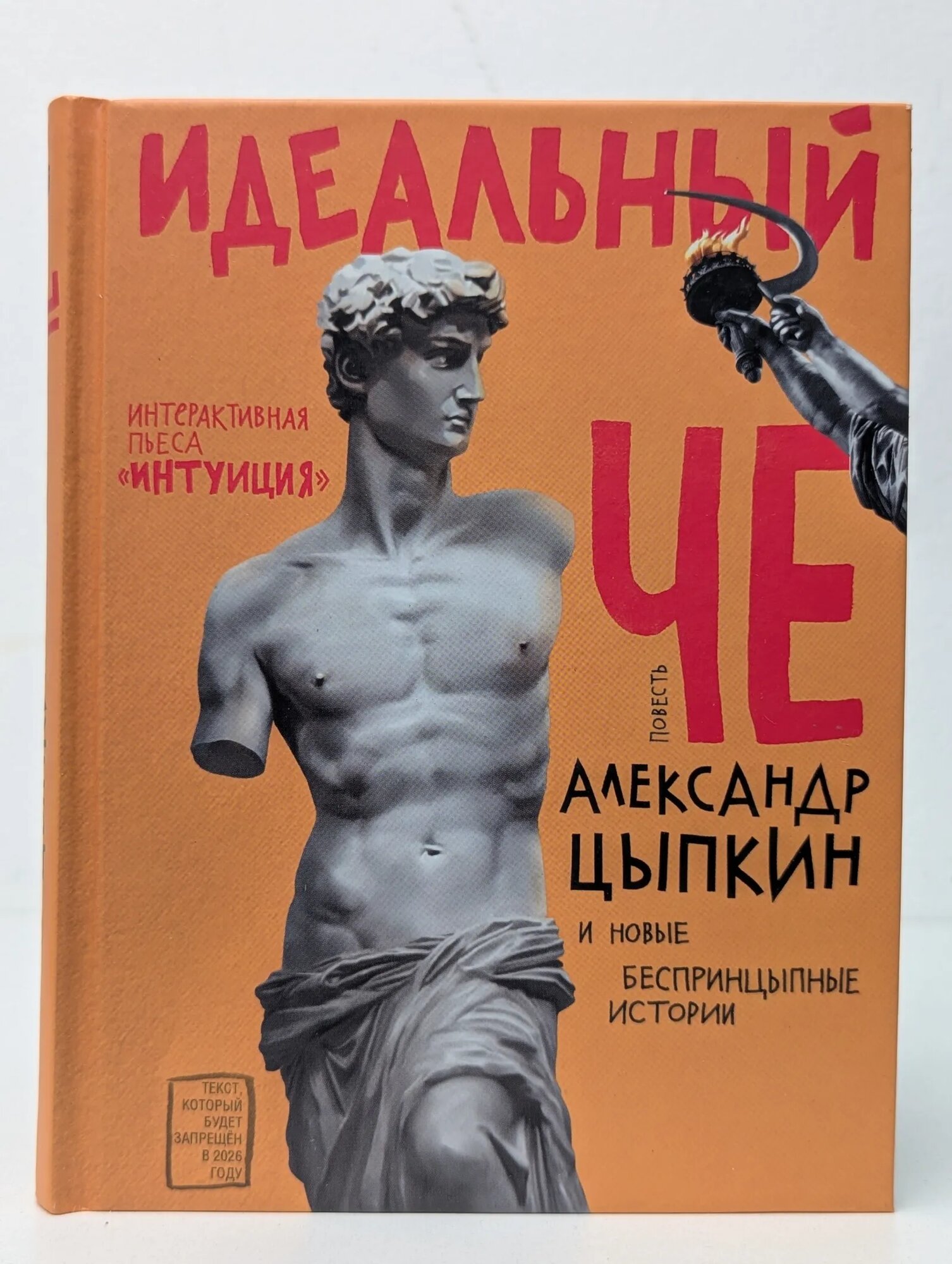 Идеальный Че. Интуиция и новые беспринципные истории Цыпкин Александр Евгеньевич 2021