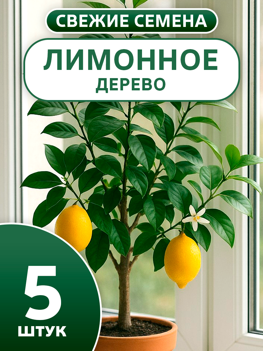 Семена лимона для выращивания, 5 шт