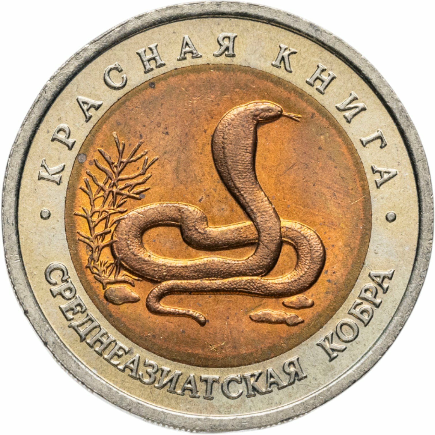 10 рублей 1992 ЛМД среднеазиатская кобра, Биметалл, в сохранности AU-UNC
