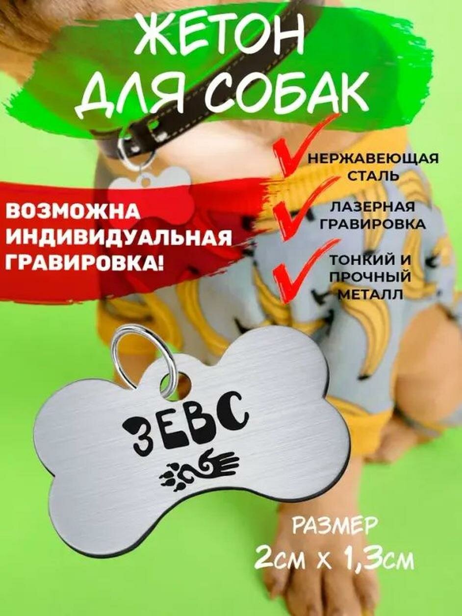 Адресник для собаки с гравировкой, нерж. сталь, серебристый, Зевс