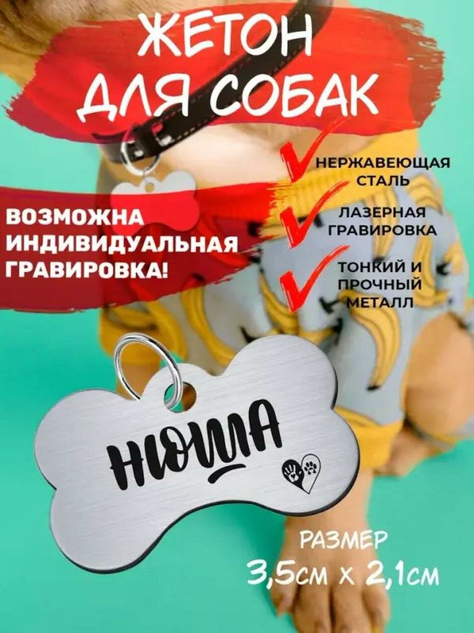 Адресник для собаки с гравировкой, нерж. сталь, серебристый, Нюша
