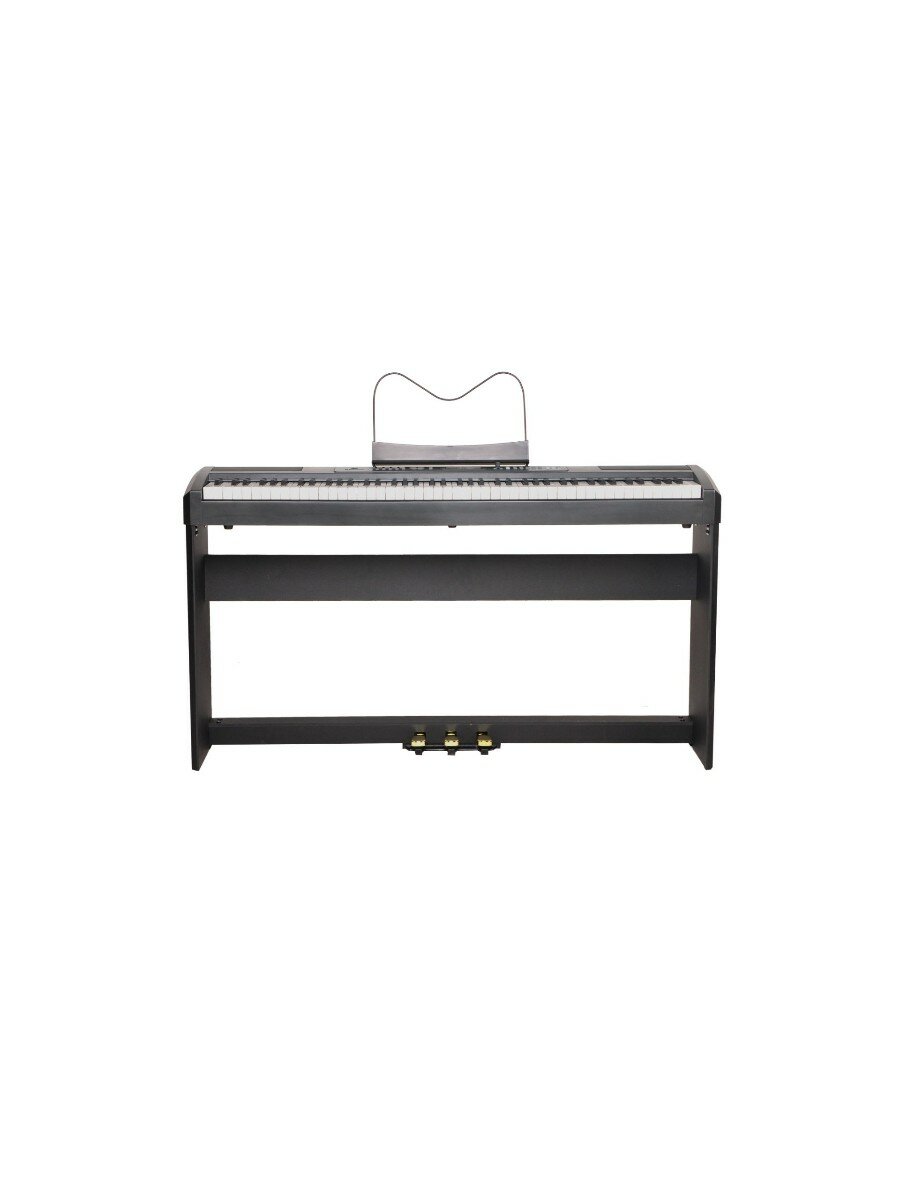 Ringway RP-35 Black Цифровое пианино, с клавиатурой 88 клавиш, стойка S-25 в комплекте, цвет чёрный