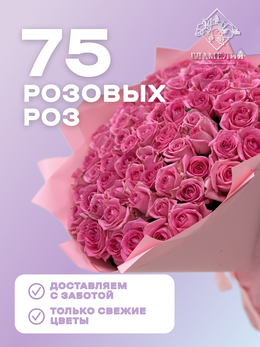 Гламелия цветы Нежный Рассвет: монобукет из 75 розы Revival – купить свежие цветы с доставкой в Москве