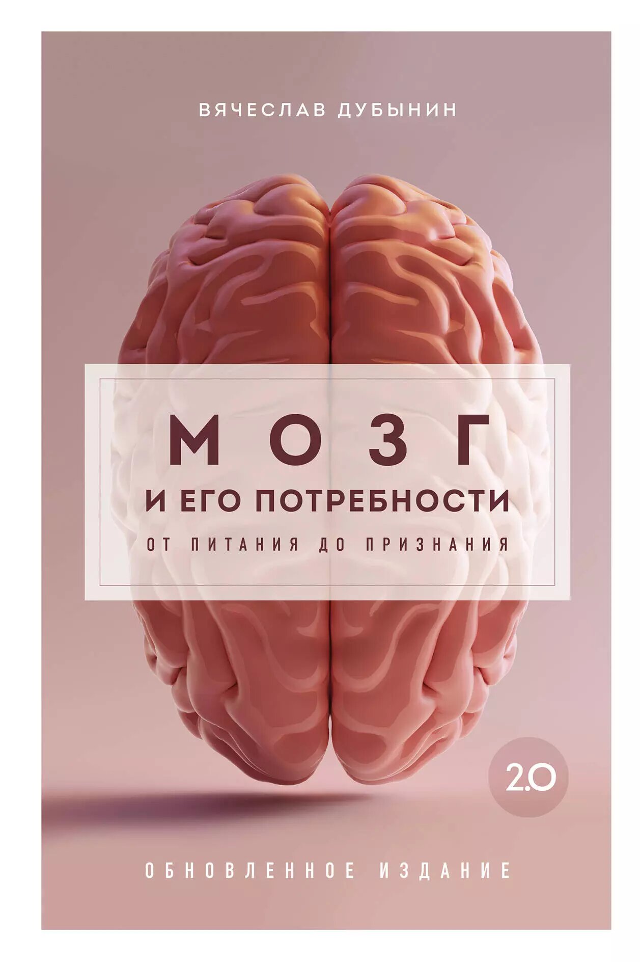 Мозг и его потребности 2.0. От питания до признания