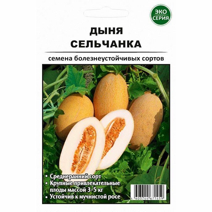 Дыня Сельчанка (1 уп: 12 семян)