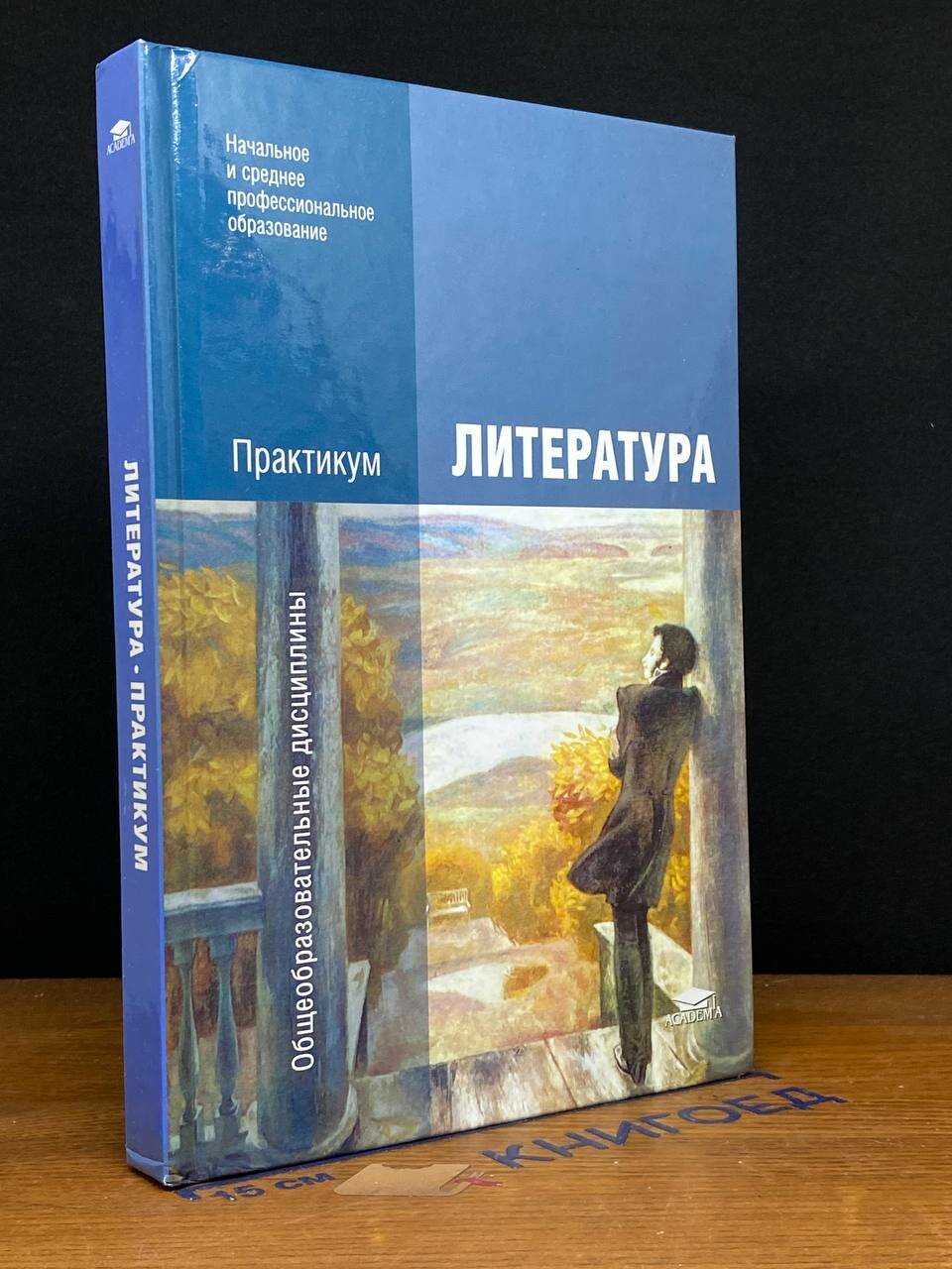 Книга. (Штамп) Литература. Практикум 2013 (2041593894247)