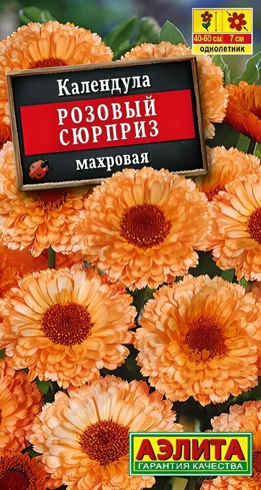 Календула махровая Розовый сюрприз ( 3 упаковки семян ), долгоцветущая