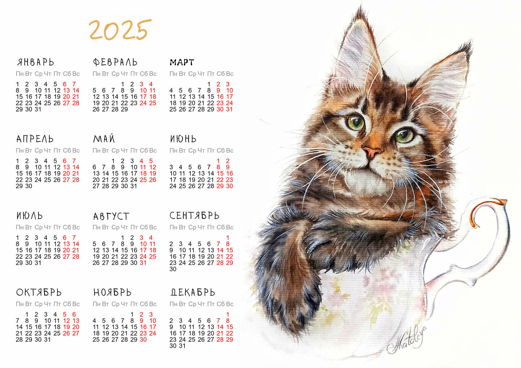 Календарь 2025 с акварельной иллюстрацией КОТ В кружке, 21x30см