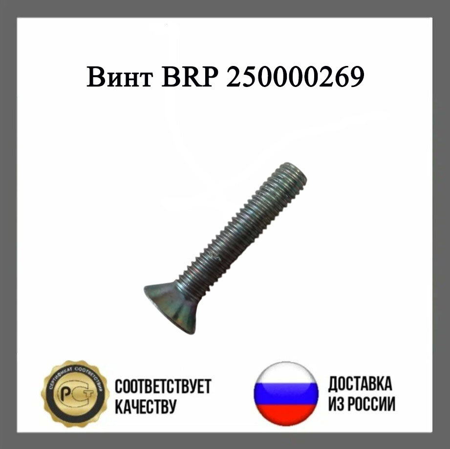 Винт BRP 250000269