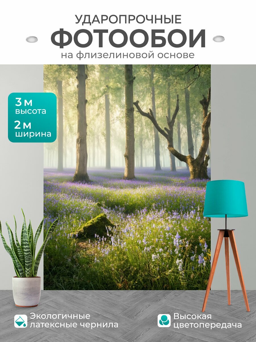 Фотообои моющиеся ударопрочные "Прованс изображают сказочный лес, наполненный загадочными цветами и деревьями, всплывающими в необычных формах." 200x300 см. флизелиновые на стену