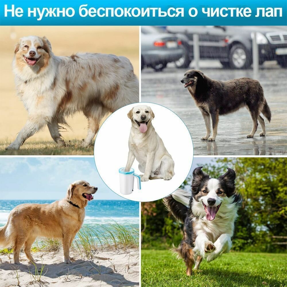 Бассейн для животных — фото 1