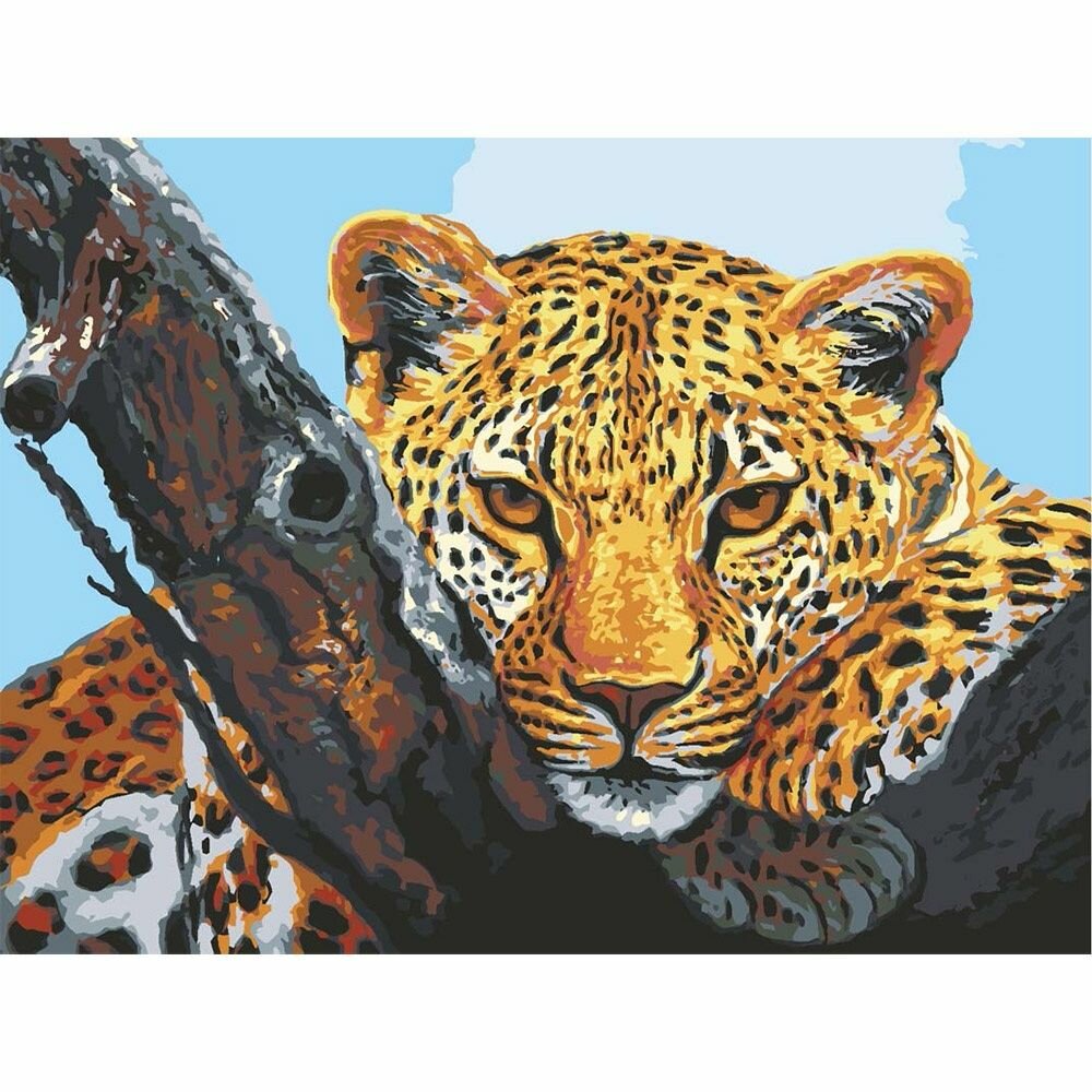 Канва Grafitec "Взгляд леопарда", ткань с рисунком, серия 10,000, 50х40 см