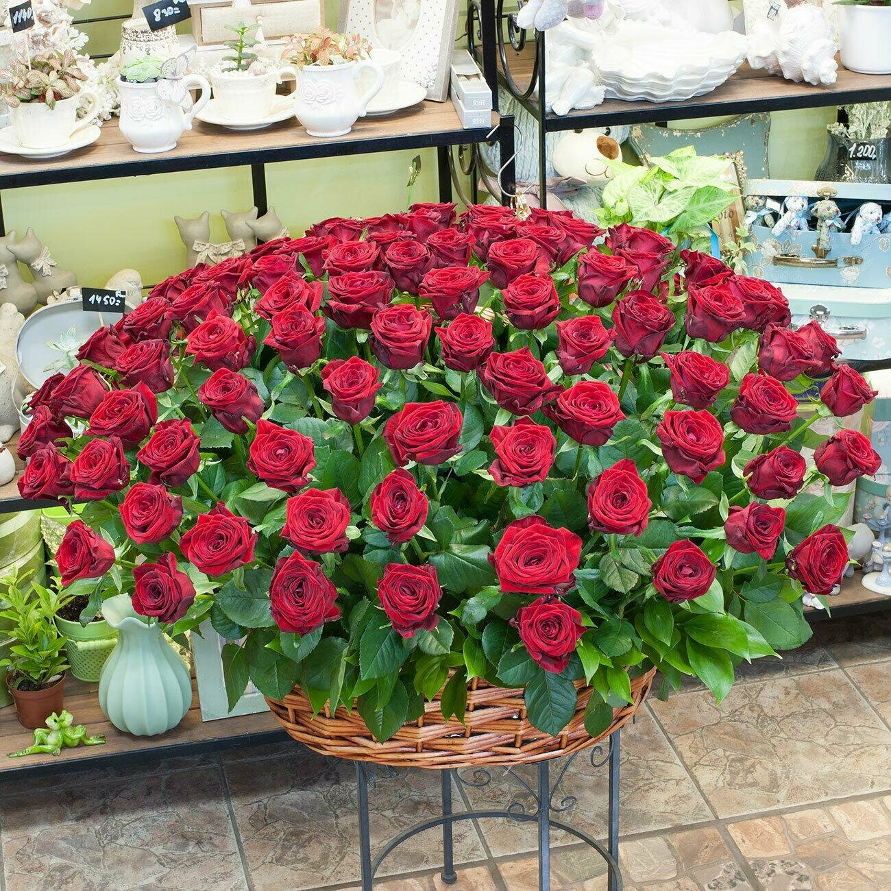 Корзина роз Charlotte, 101 красная роза, XXL, высота букета 80 см