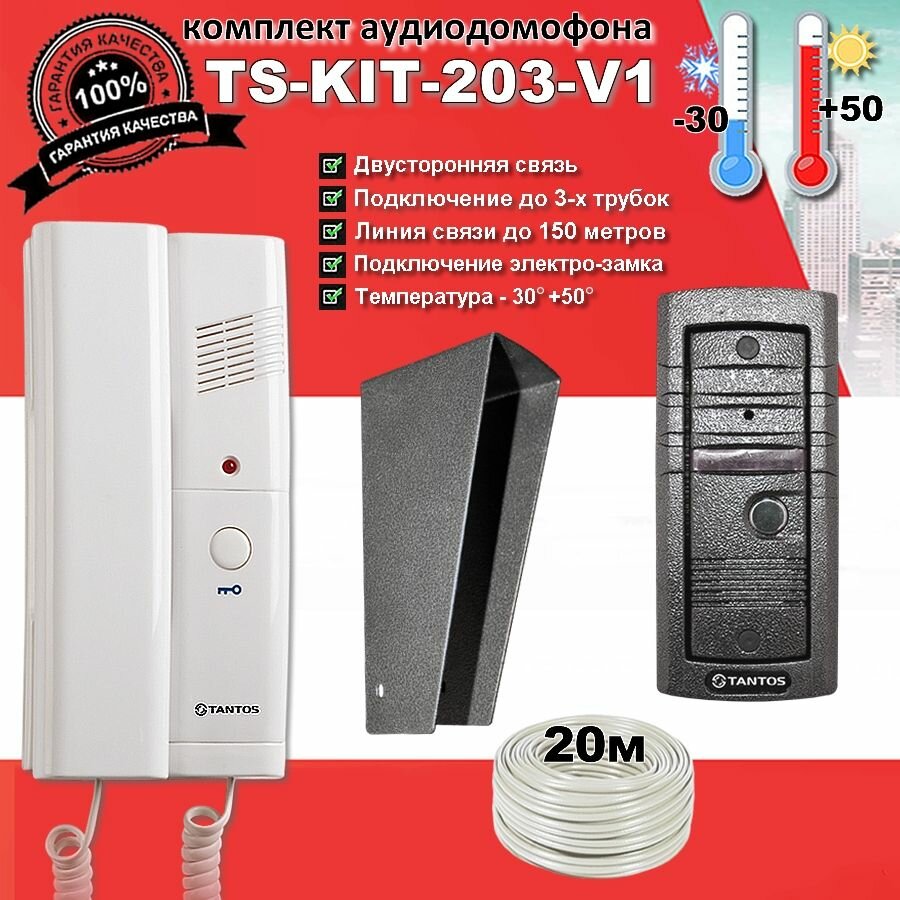 Аудиодомофон для дома TS-KIT-203-V1 с подключением электрозамка