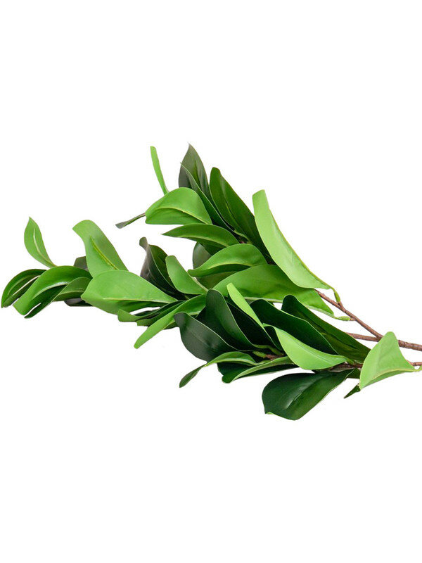 Ветка зеленая, 70см, Самшит,1 ветка