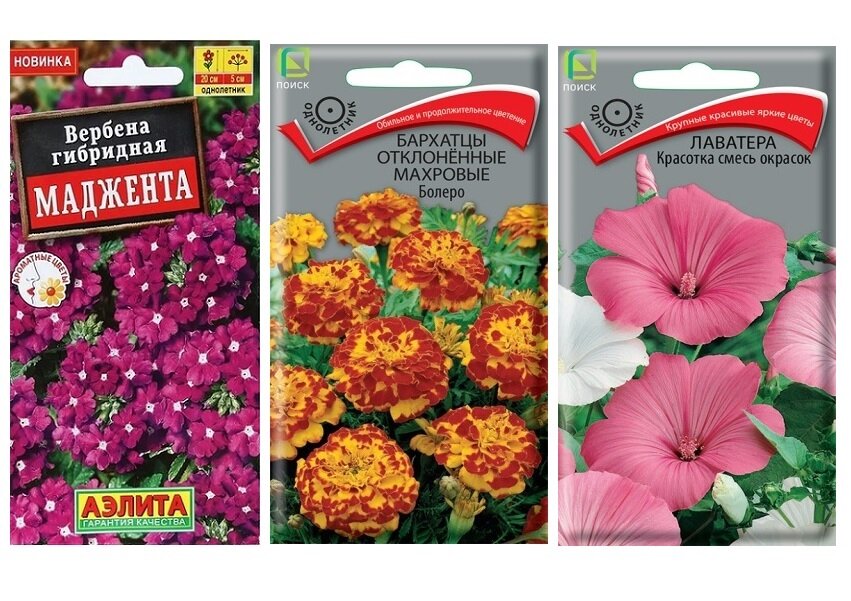Набор семян Цветочные фантазии (Лаватера Красотка смесь, Бархатцы Болеро, Вербена Маджента)