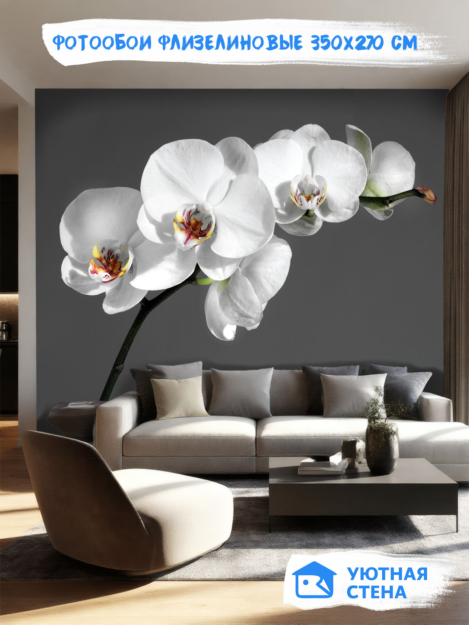 Фотообои Уютная стена "Белая орхидея на сером фоне", флизелиновые, 350х270 см