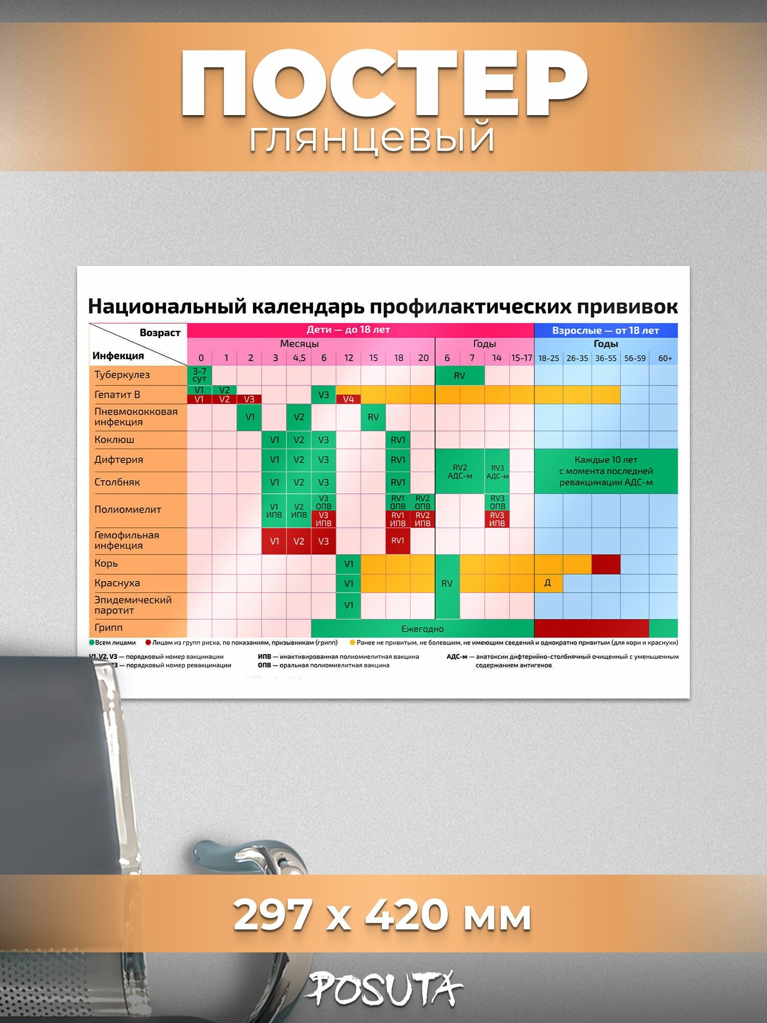 Постеры Календарь прививок картины интерьерные