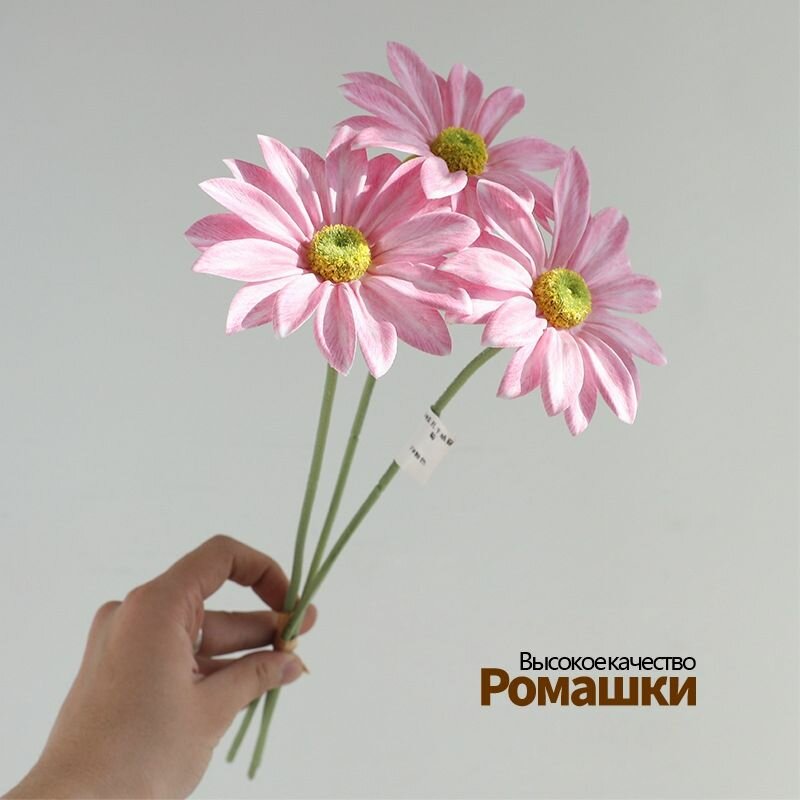 Стабилизированные цветы, Ромашки, 5 пучков, 38cm