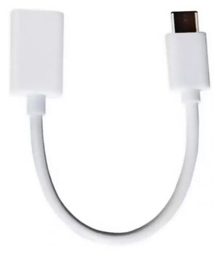 Адаптер OTG USB Type C M в USB 2.0 F Ks-is (KS-297)
