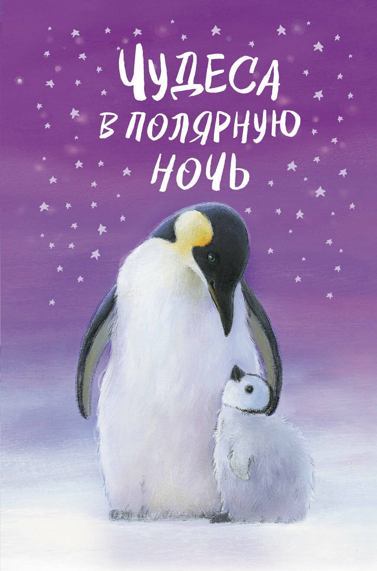 Чудеса в полярную ночь (Холли Вебб и др.)