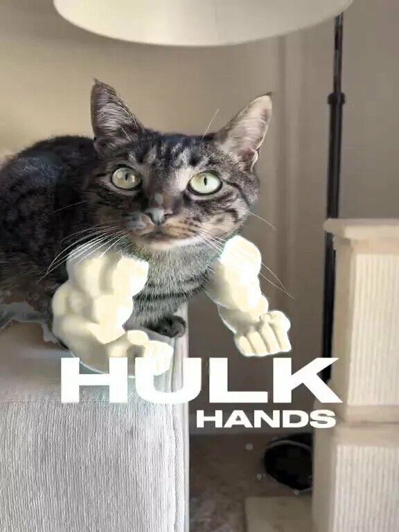 Руки Бицухи накаченные для кошек