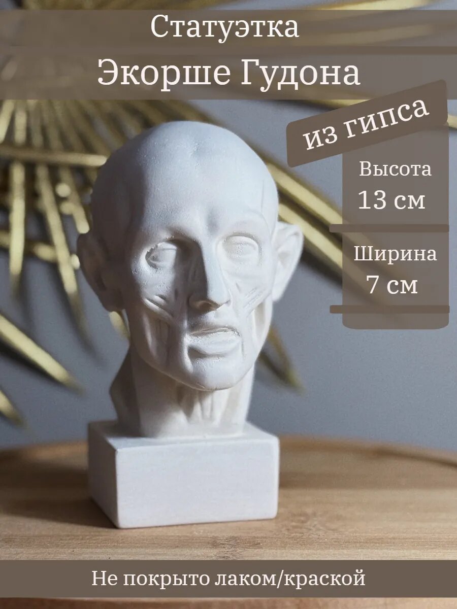 Статуэтка Экорше Гудона, 13 см бюст фигурка из гипса без окрашивания