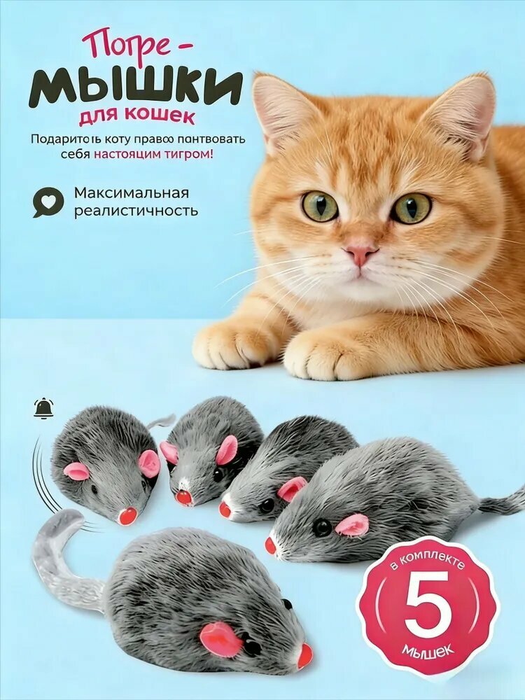 Симулятор серой крысы / костюм 5 шт.