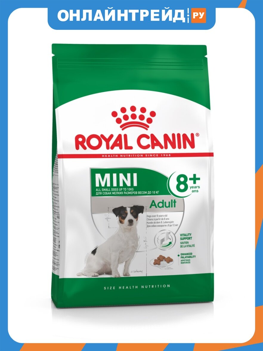 Сухой корм для взрослых собак мелких пород старше 8 лет Royal Canin Mini Adult 8+ 4 кг