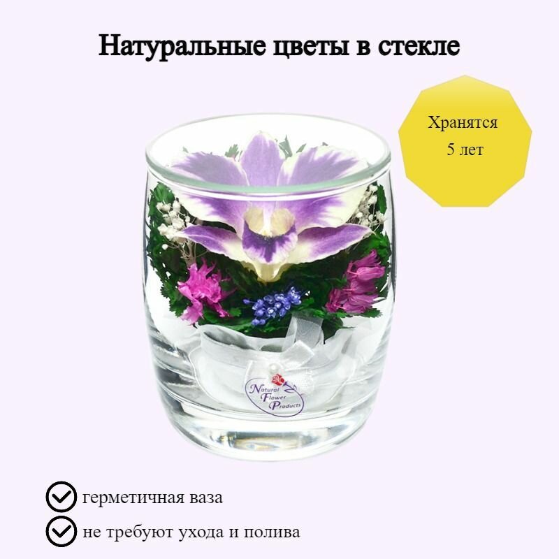 Композиция из натуральных цветов в стекле NFP, 8.5х7 см
