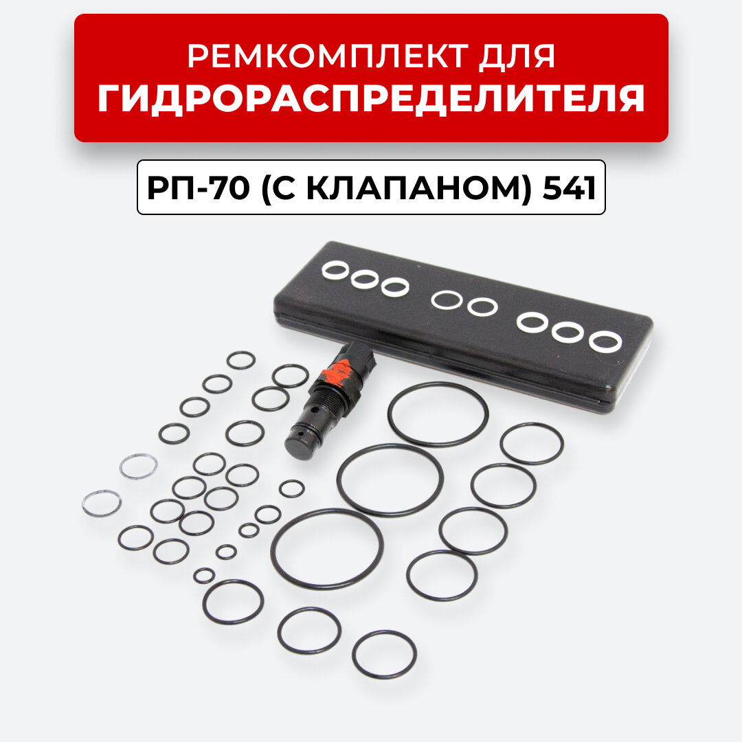 Ремкомплект РП-70 (с клапаном) 541