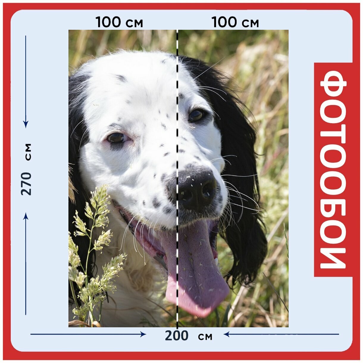 Фотообои "Щенок, собака, домашний питомец" 200x270 см. флизелиновыена стену