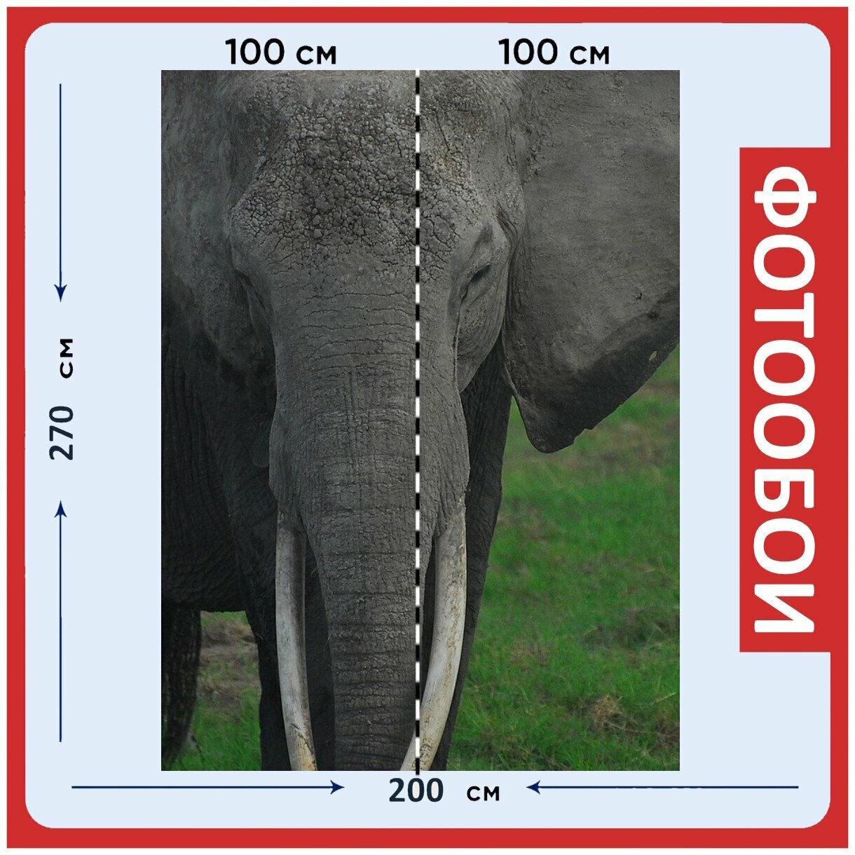 Фотообои "Слон, слоновая кость, сафари" 200x270 см. флизелиновыена стену