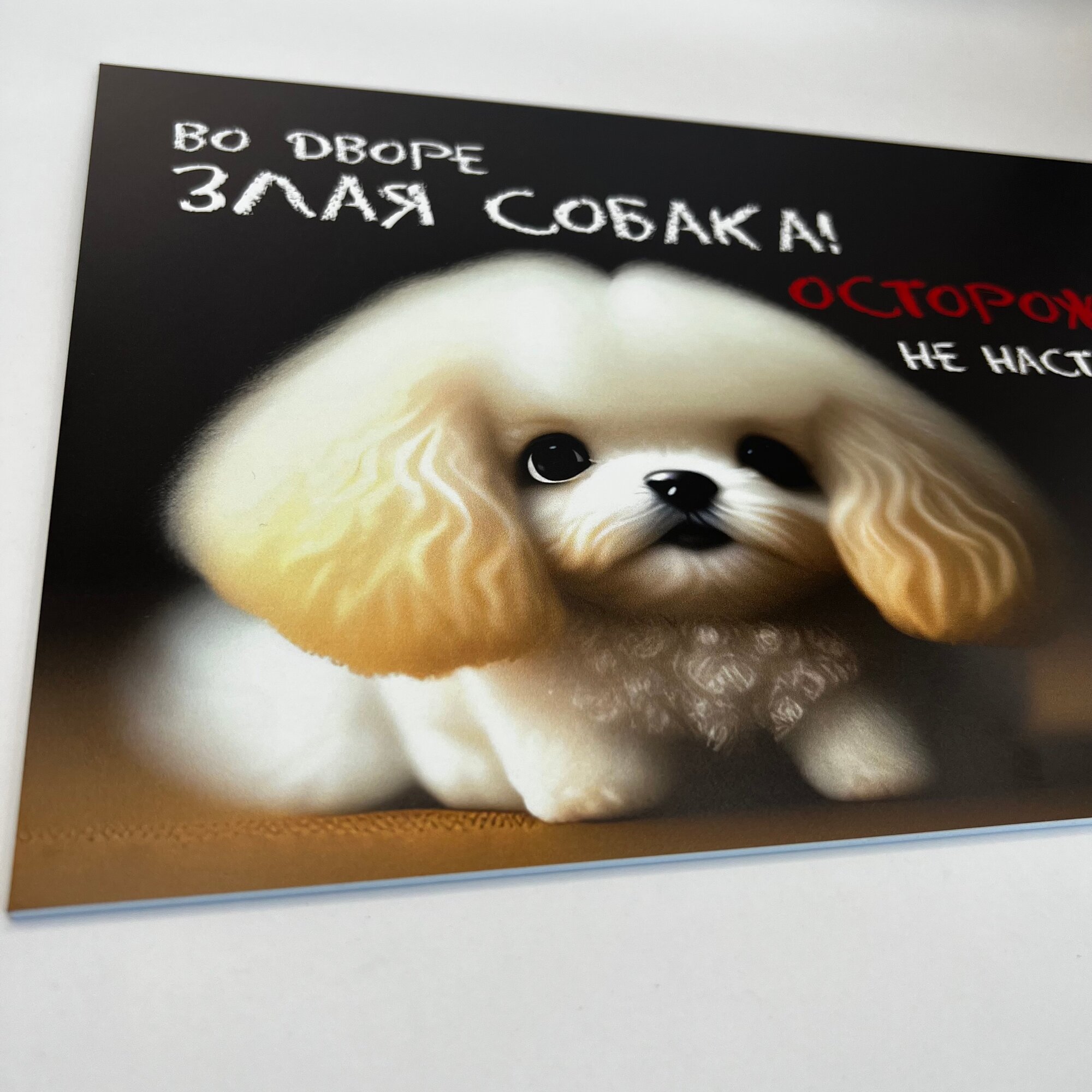 Табличка Во дворе злая собака! — фото 1
