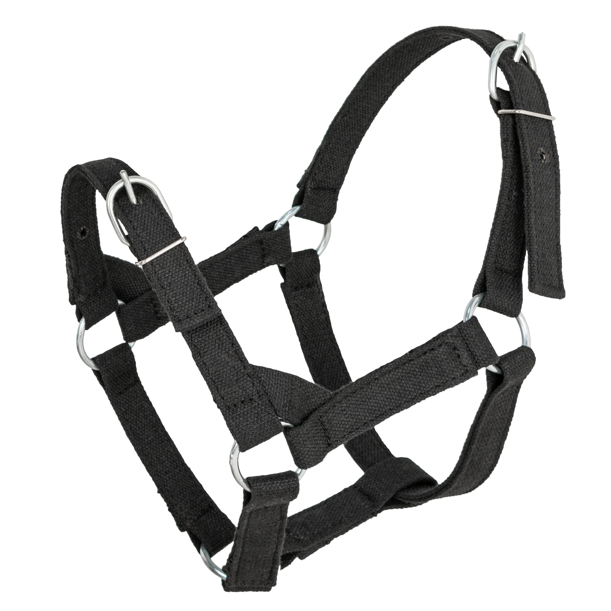 Недоуздок для жеребят двойной брезент, недоуздок регулируемый REITER 25 мм