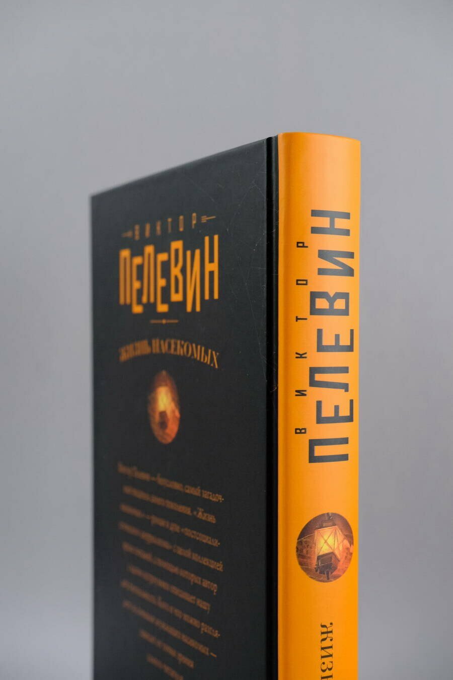 Жизнь насекомых — фото 1