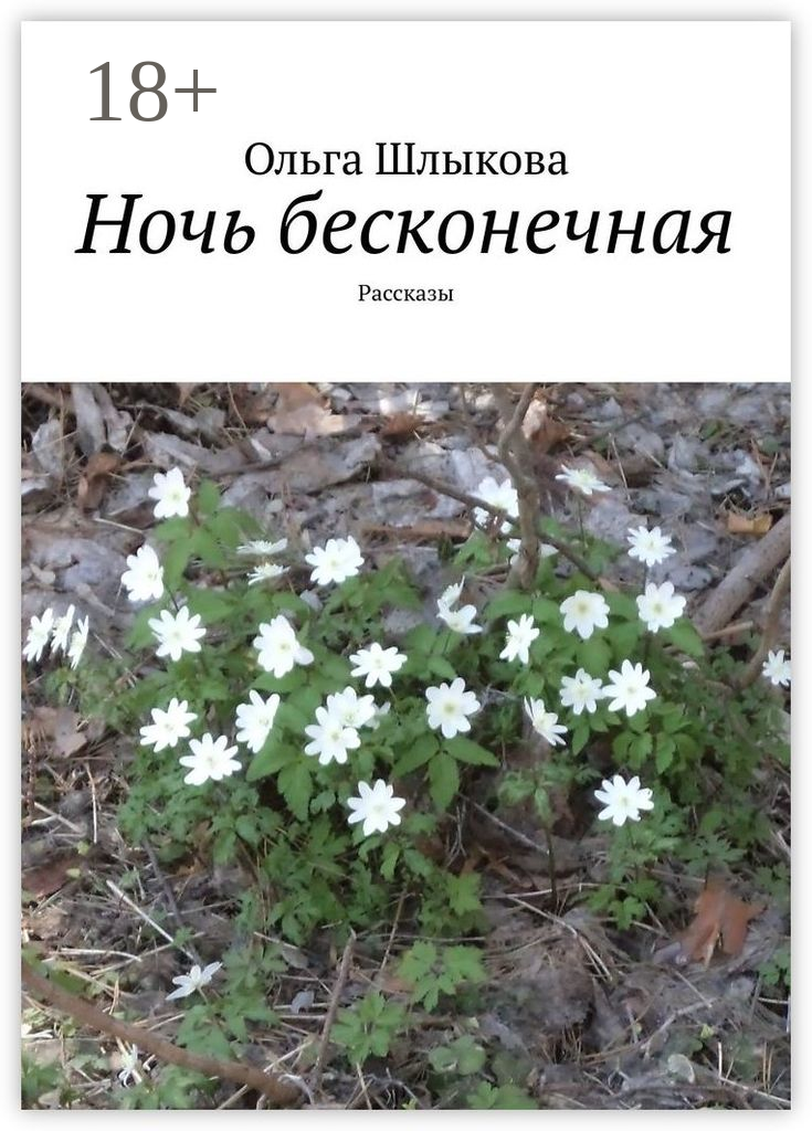 Ночь бесконечная