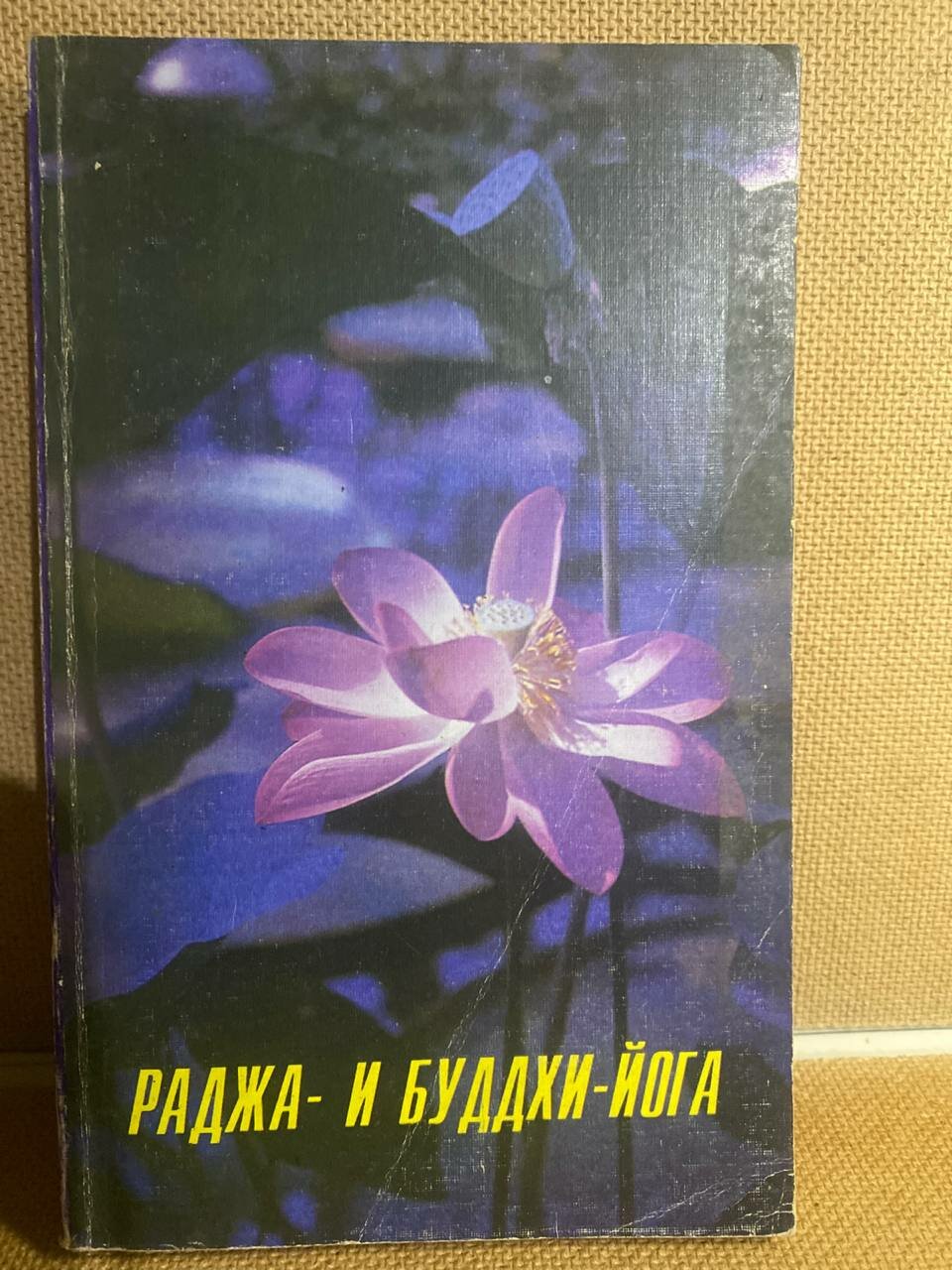 Раджа- и Буддхи-йога