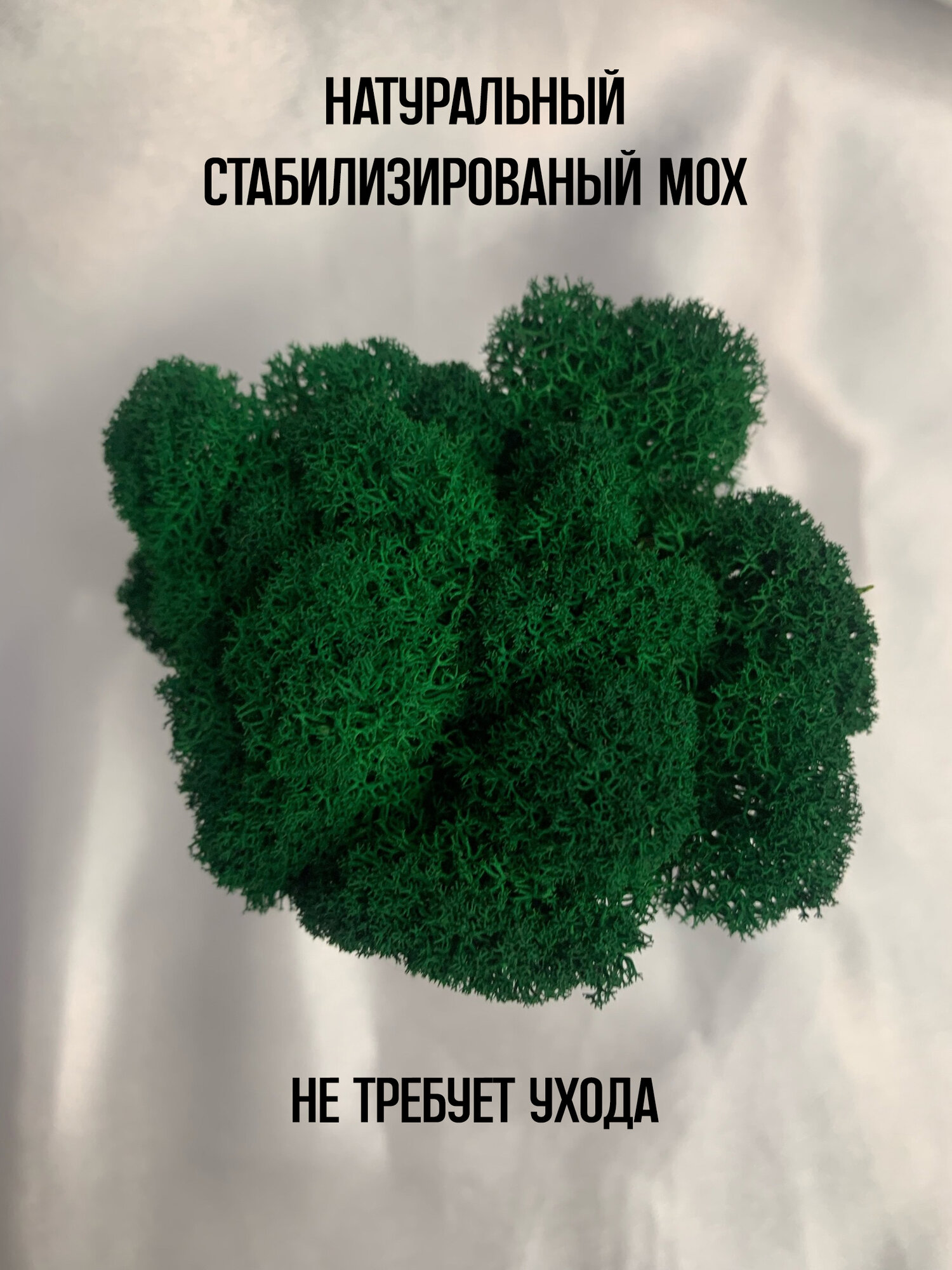 Грут из марвел со мхом — фото 1